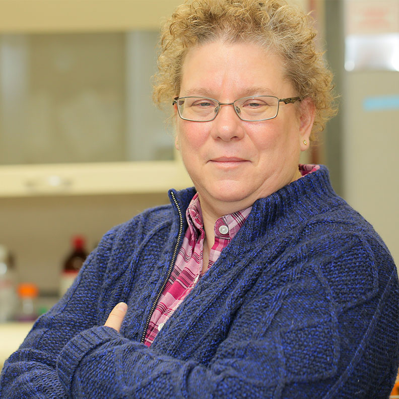 Cultural Events | Elmhurst University